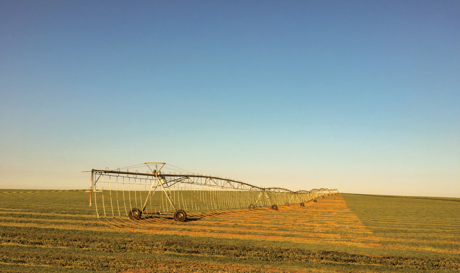 Mobile Drip Irrigation: An Interview With Monty Teeter - Irrigation ...