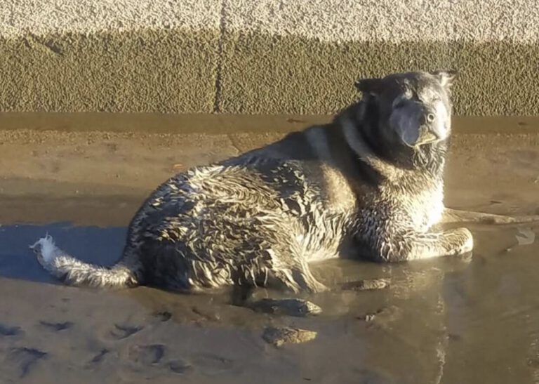 Roosevelt Water Conservation District - Irrigation Leader Magazine