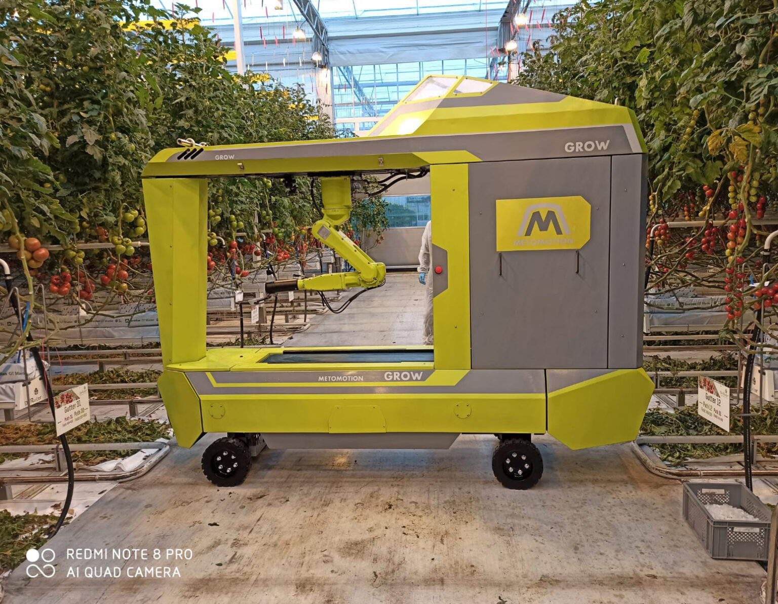 Metomotion’s Robotic Tomato Harvester » Irrigation Leader