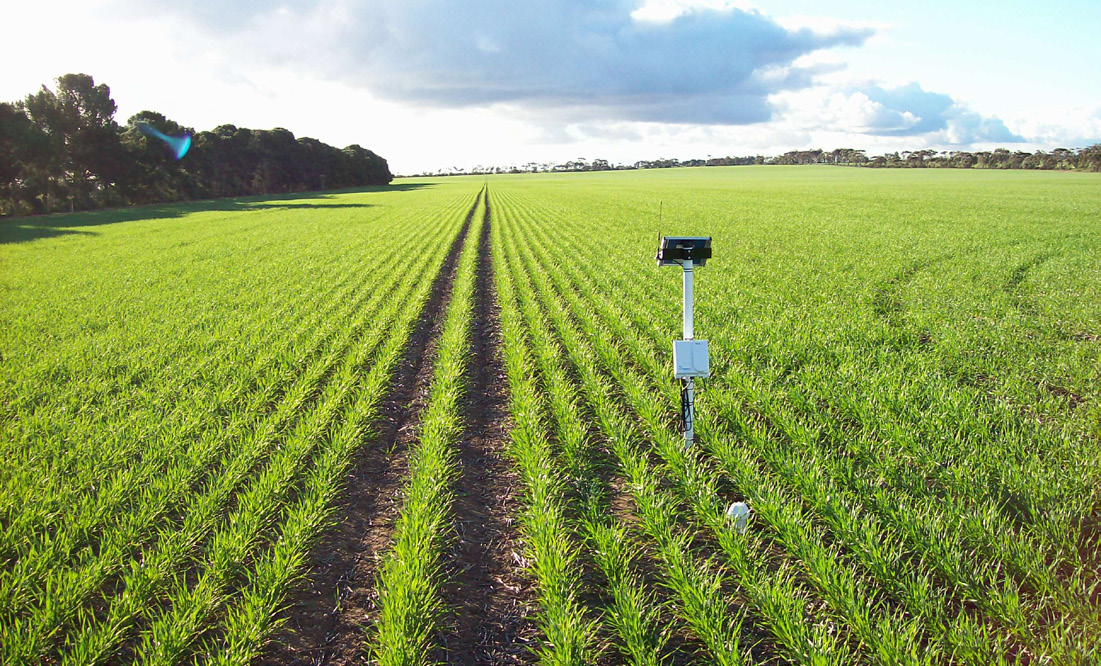 From Sensors to Knowledge Products: Sentek Technologies - Irrigation Leader Magazine