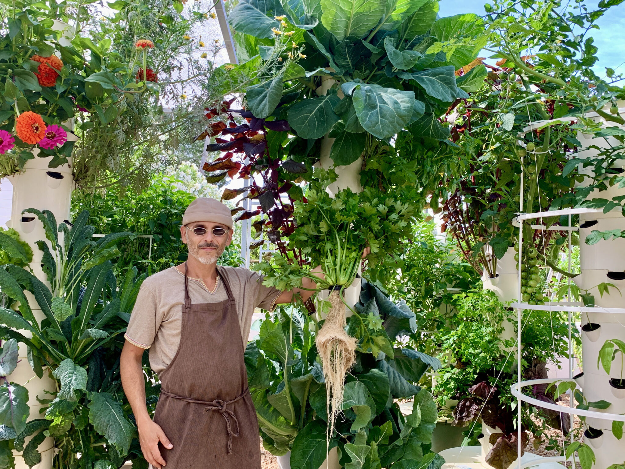 Mathias Levarek: Agrotonomy’s Aeroponic Vertical Farming Solutions ...