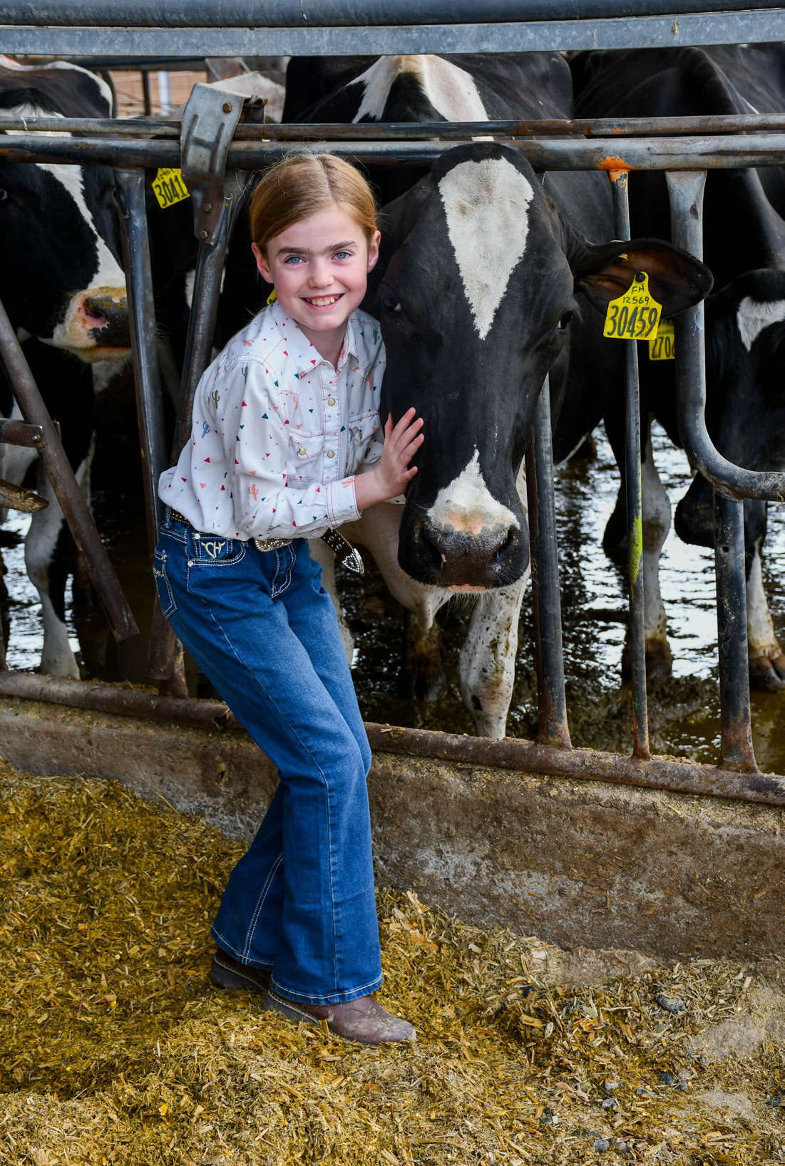 The Sheehan Family of Washington State: On Dairy Farming, Irrigated ...